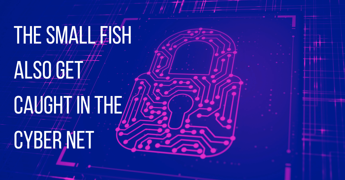The Small Fish Also Get Caught in the Cyber Net